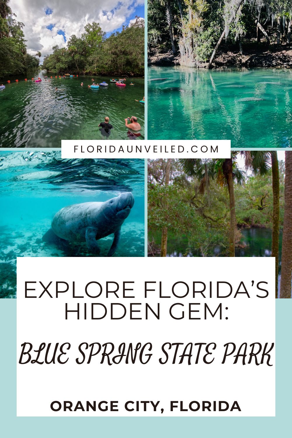 Top Things to Do at Blue Spring State Park in Florida