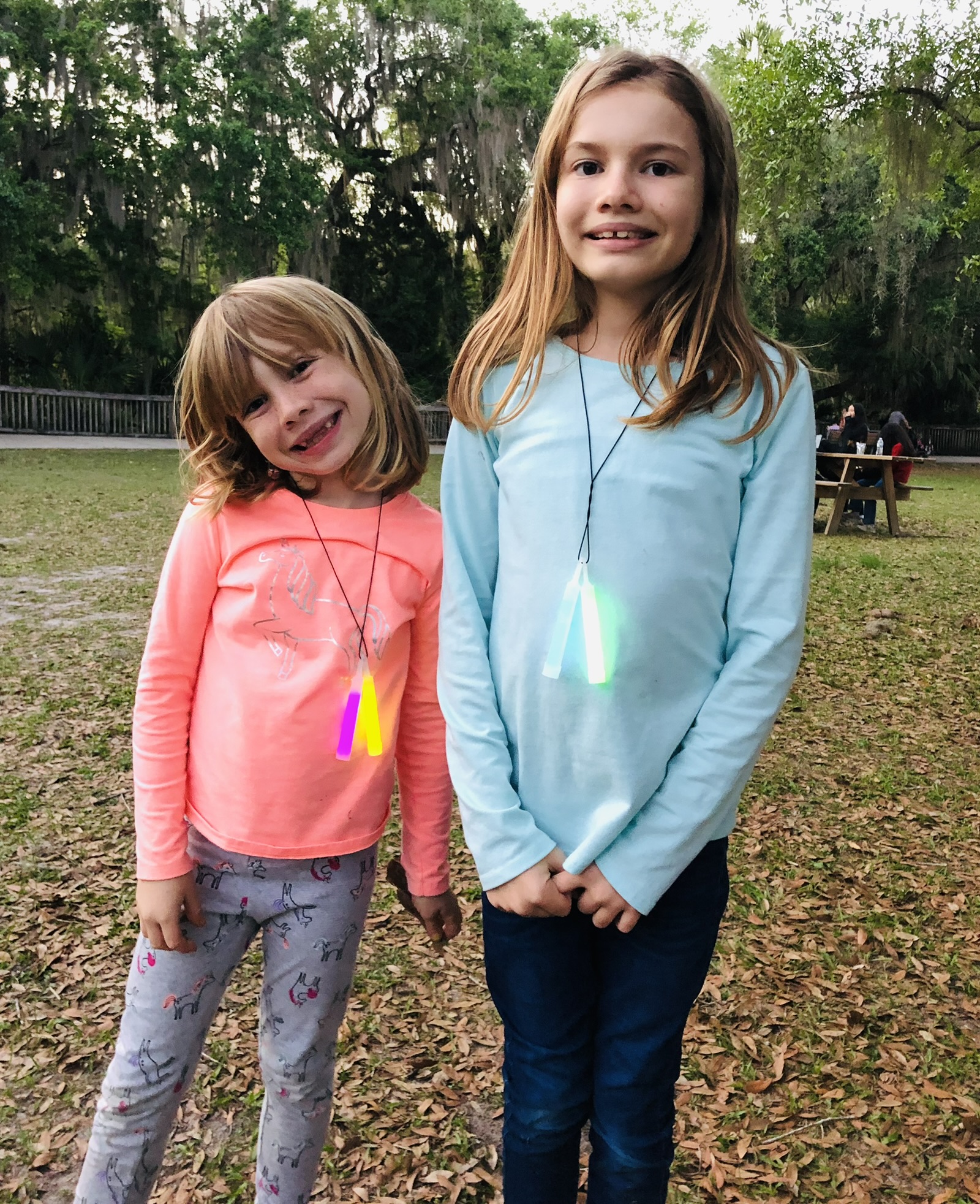 Top Things to Do at Blue Spring State Park in Florida