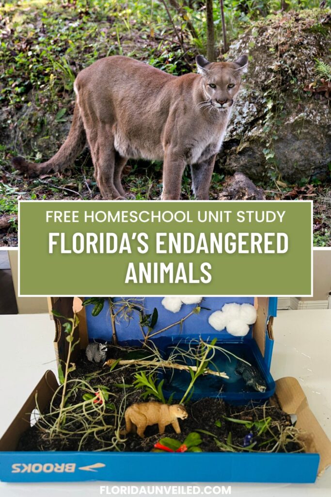 Free Florida's Endangered Animals Homeschool Unit Study