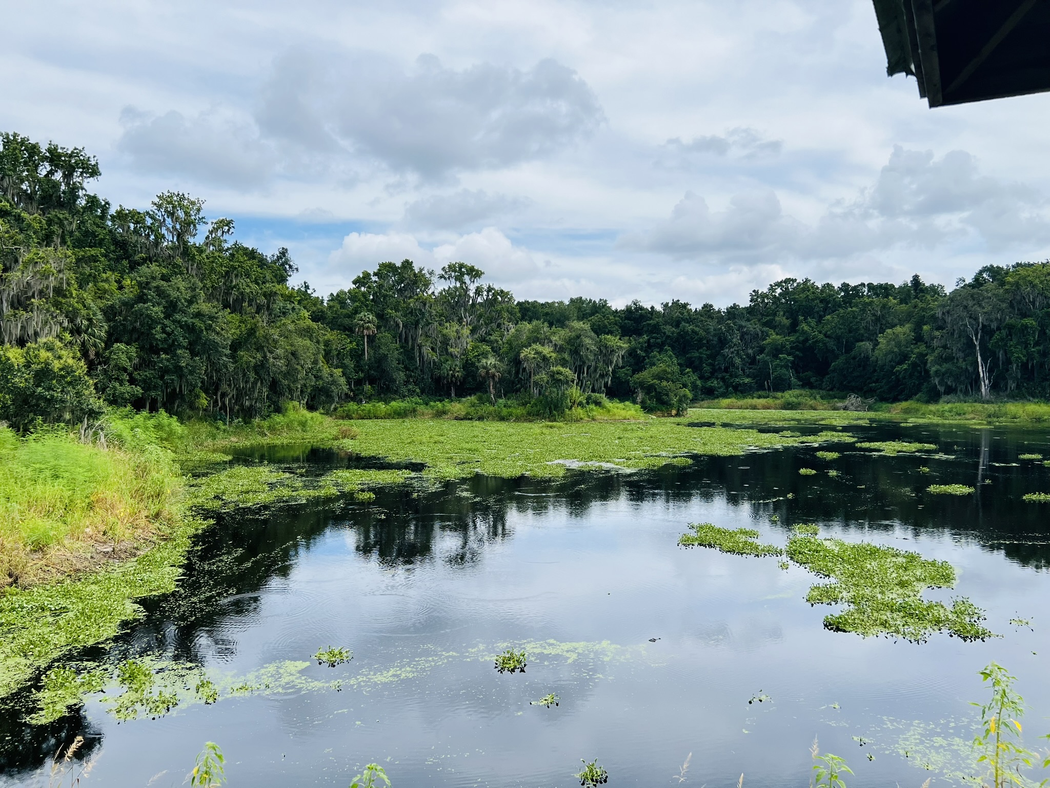 THE ULTIMATE GUIDE TO EXPLORING PAYNES PRAIRIE PRESERVE STATE PARK ...